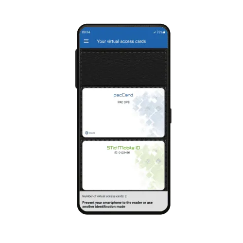 PAC Access Control Readers I Comelit